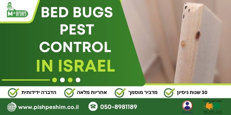 Bed bugs pest control in Israel - SOLUTION 100% - פשפשיM